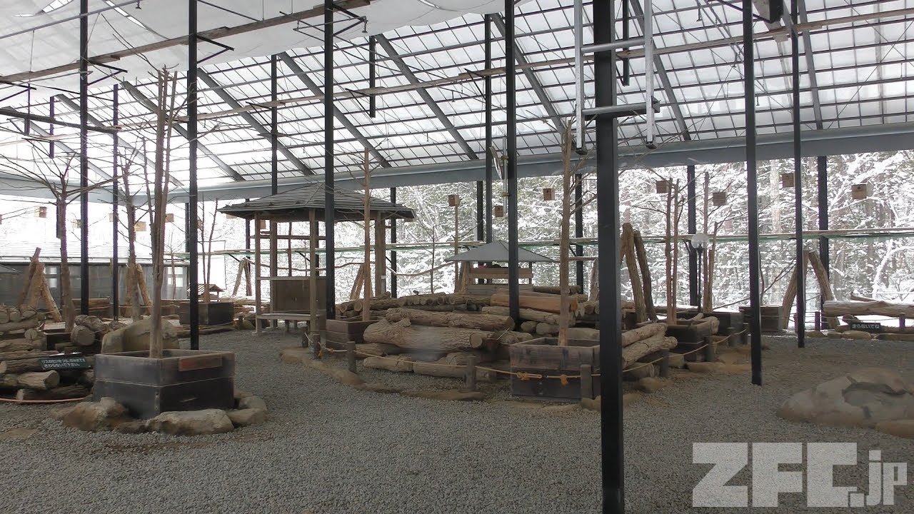 Squirrel Forest (Squirrel forest Hidayama wild grass nature garden, Gifu, Japan) April 3, 2019 ...