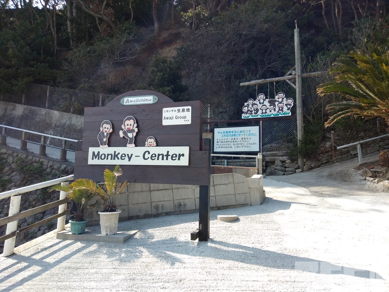 淡路島モンキーセンター | ZFC.jp